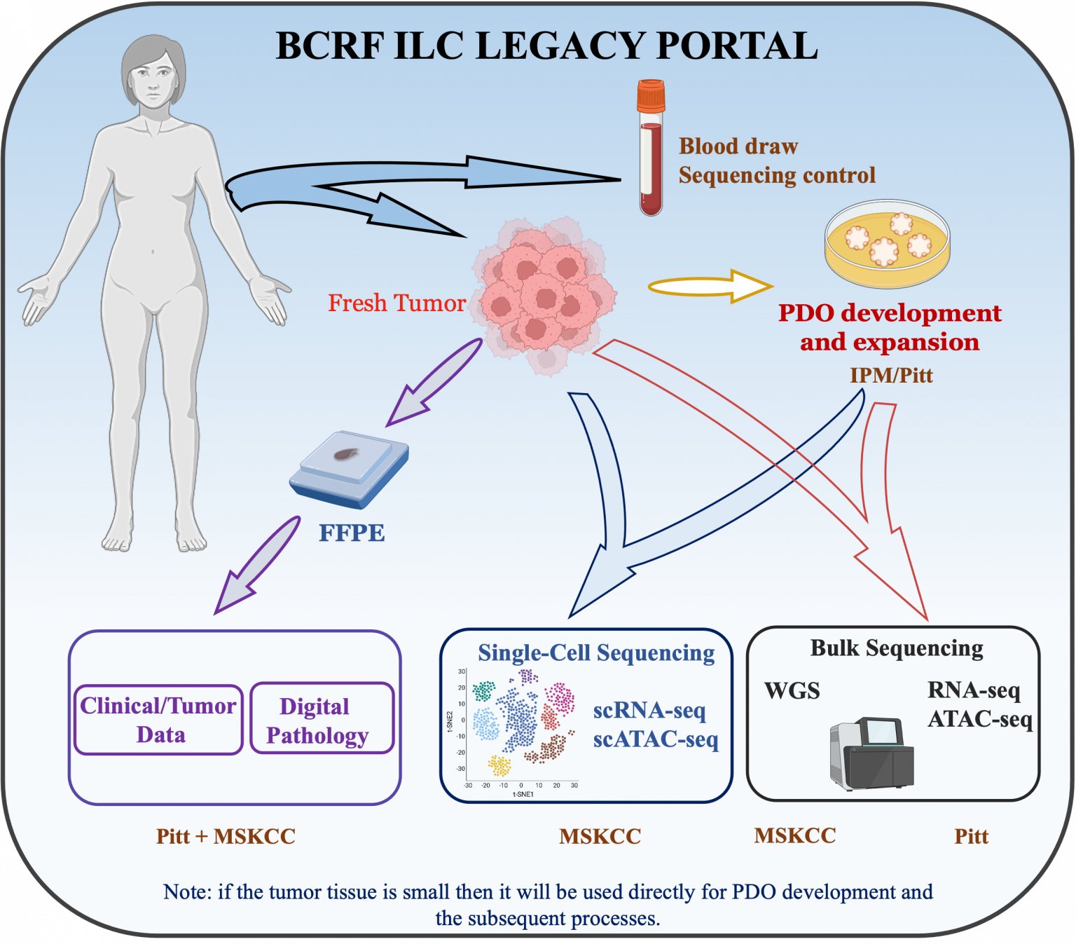 BCRF ILC Legacy Project - Lee/Oesterreich Laboratory